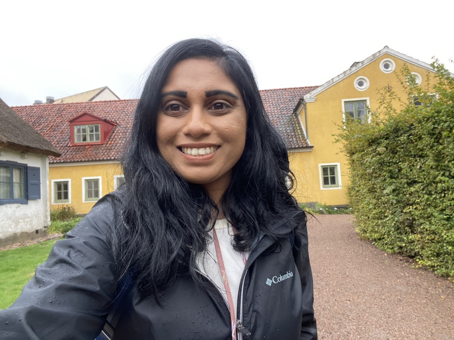 Day trip from Copenhagen, Denmark to Lund & Malmo, Sweden Itinerary ...