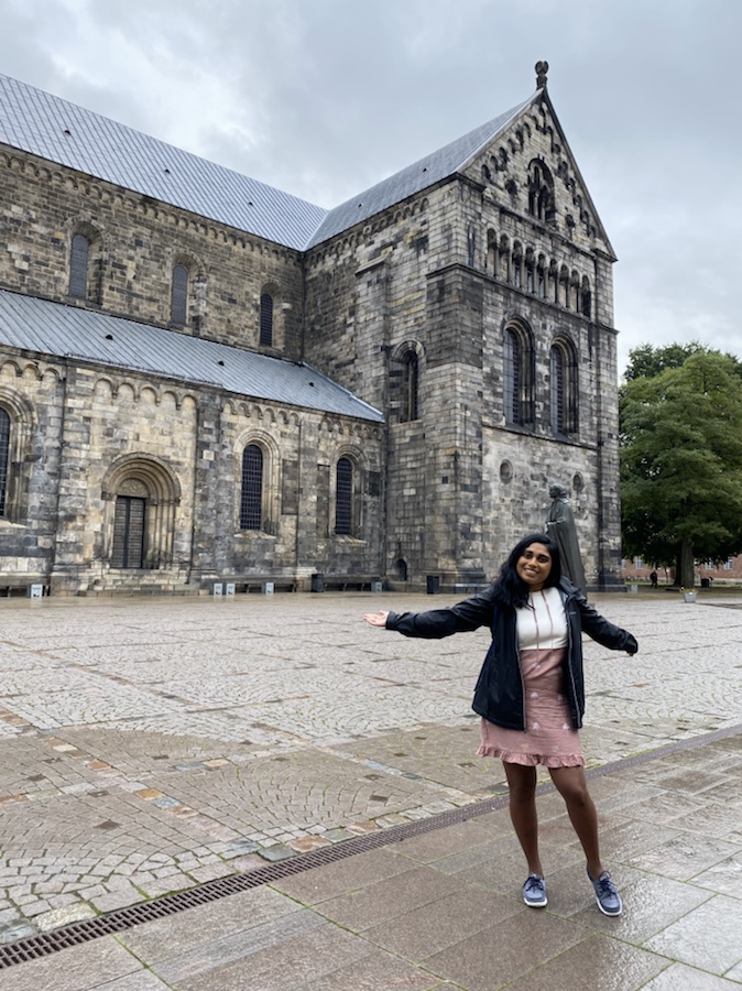 Day trip from Copenhagen, Denmark to Lund & Malmo, Sweden Itinerary ...